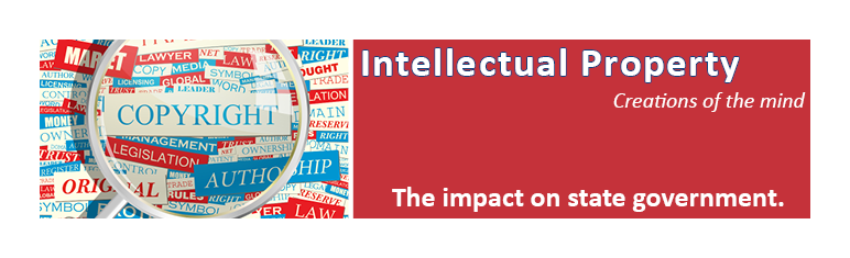 Intellectual Property Program